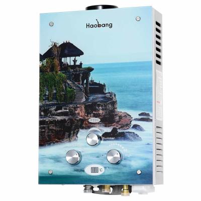 중국 6L 인스턴트 가스 워터 히터 가구 페인팅 유리 패널 판매용