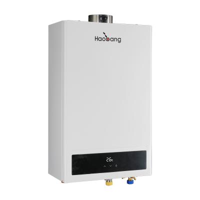 China Balanced Flue Gas Water Heater Gas Water Heater for Energy Conservation and Pollution Reduction for sale