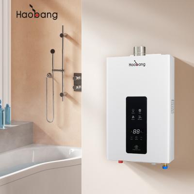China Easy Installation Wall Mounted Forced Vent Gas Water Heater For Household Convenience for sale