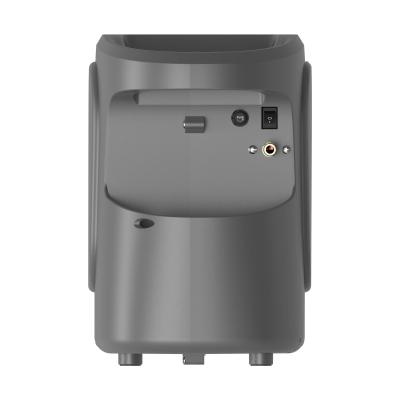 China 3L/min Shower Flow Rate Portable Gas Water Heater for Liquefied Petroleum Gas Conversion for sale