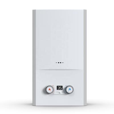 China 20L Flue Type Tankless Gas Water Heater LPG NG Wall Mounted for sale