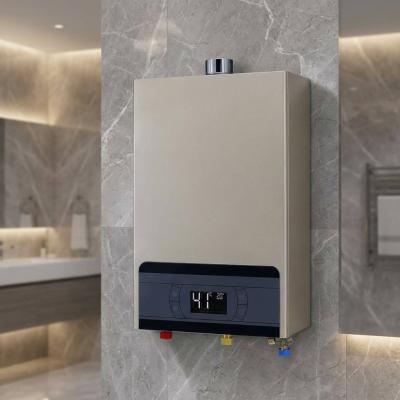 China Silk Screen Printing Logo Forced Exhaust Gas Water Heater Temperature Range 35-80 Degree Rated Voltage AC220V Designed for and Durable for sale