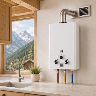 China Kitchen Balcony Flue Gas Water Heater Optional Color Black White Silver Compact Design Heating Solution for Commercial for sale