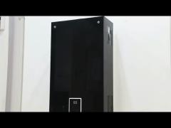 10L 2.6GPM Water Heater Black Coating Panel LPG NG Gas Type