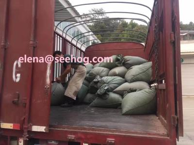 China Brazilian coffee beans  to Shanghai customs clearance to door Service for sale