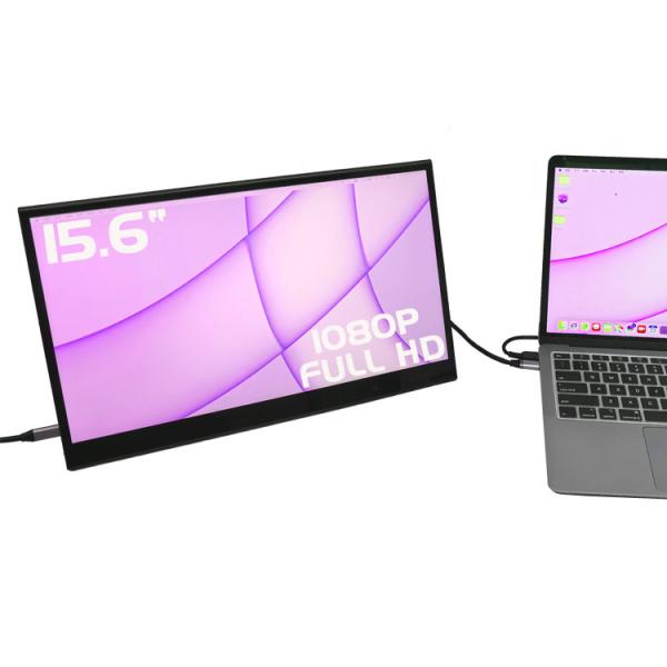 Quality 15.6 Inch IPS 1080P 60Hz FHD Full HD Gaming USB-C HDR Portable Monitor Screen for sale