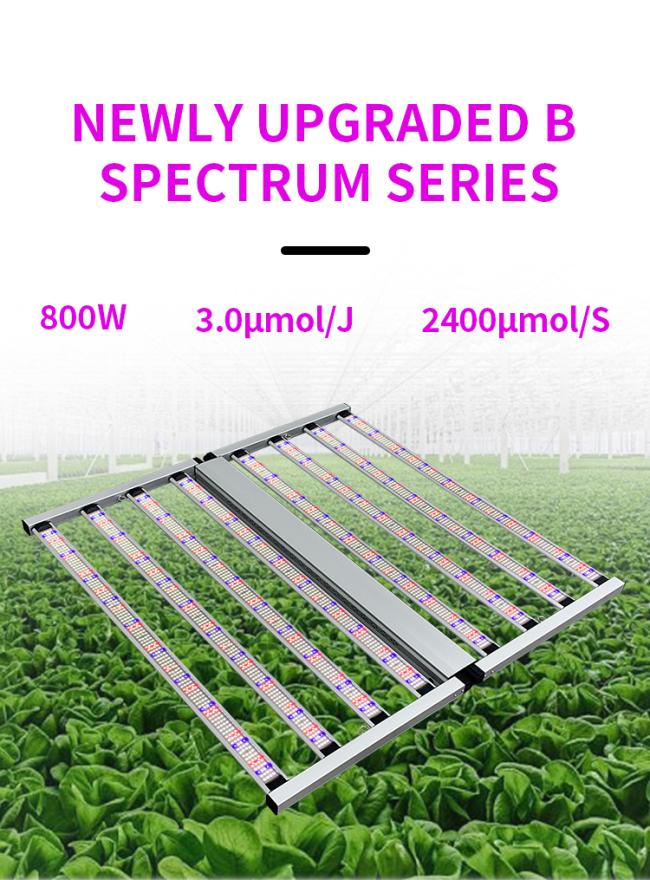 800W LED grow light front view showing foldable design