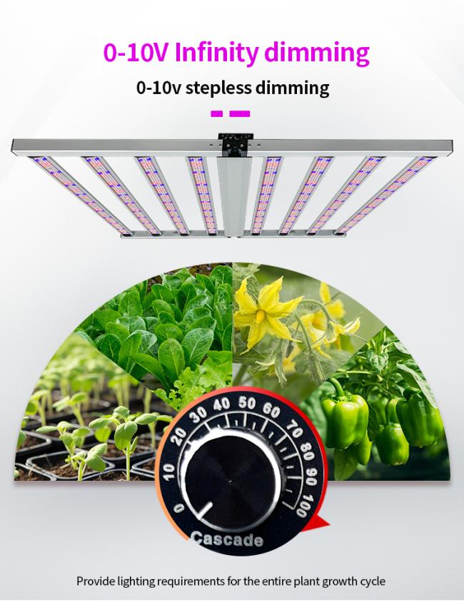 800W LED grow light in operation showing full coverage