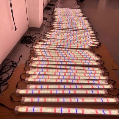 Cina Lampade LED per coltivazione personalizzate 4Ft 120W 150W, luce LED per la crescita delle piante in vendita