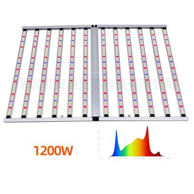 China 12 Bar Full Spectrum 1200W LED Grow Light Agricoltura commerciale Verticale Grow Lights for sale