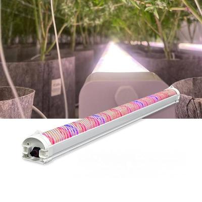 China Spettro completo sotto il baldacchino luci di crescita 150W un doppio canale profondo IR LED luce di crescita for sale