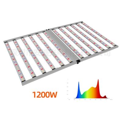 Cina Lampade di coltivazione a LED ad alta potenza 1200W a spettro completo per la coltivazione commerciale in vendita