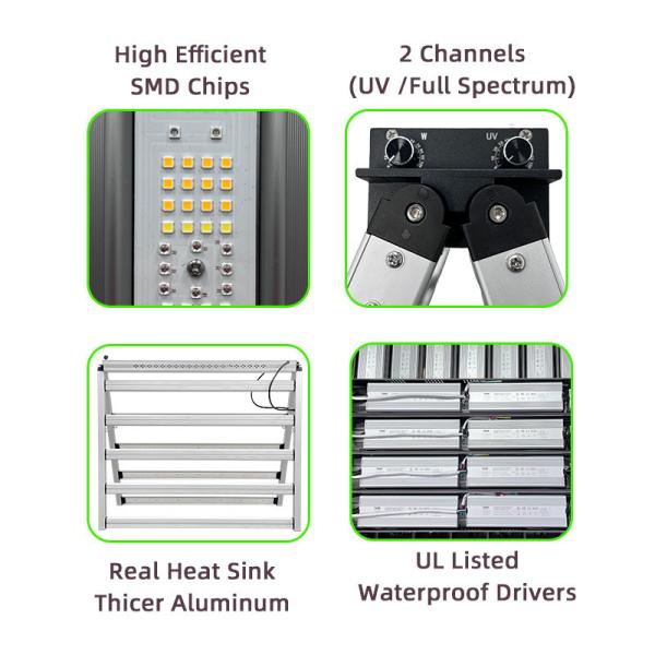 Quality Wholesale Samsung Lm301H EVO Lm281B 10 Bar 4*4 4*6ft Full Spectrum LED Plant for sale