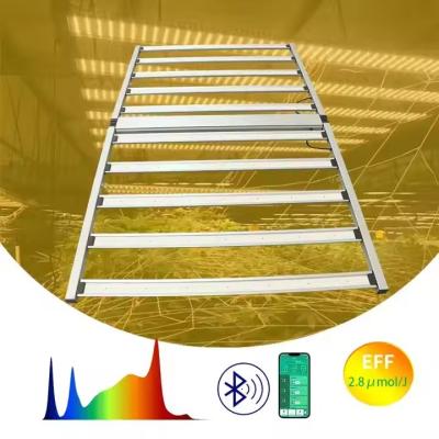 China 4X6ft 1000W Led Grow Light DLC ETL CE Certificato Daisy Chain Manufacturer for sale