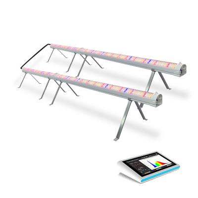 China Artesanía Agricultura vertical luces de crecimiento de LED de color rojo lejano luz de crecimiento de LED de espectro completo en venta