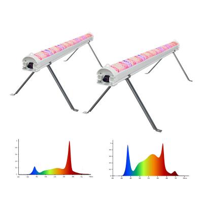 China Full Spectrum Inter-Row Blue Red Led Grow Light Bar 120w Under Canopy for Indoor Plant for sale