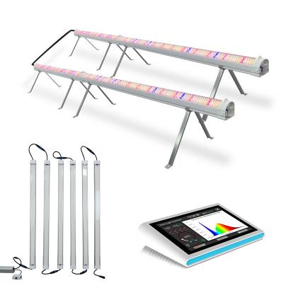 China Altura ajustable artesanal agricultor bar entre filas Bajo el dosel Rojo azul LED luces de crecimiento 120W en venta
