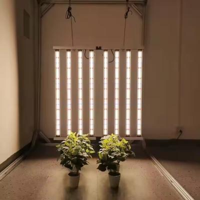中国 ANDY LED プラントグルーライト 1000W パーソナライズ フルスペクトル サムスン Lm301H EVO LM281B プロ 室内用 種子 咲き 野菜 販売のため
