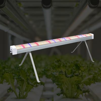 China Lámparas de cultivo de hidroponía profesional de espectro completo bajo el dosel 120W en venta