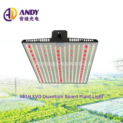 Cina 2x2ft 3x3ft Flower Grow Light Full Spectrum Veg And Bloom LED Grow Light in vendita
