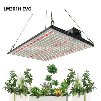 Cina 2x2ft 3x3ft Flower Grow Light Full Spectrum Veg And Bloom LED Grow Light in vendita