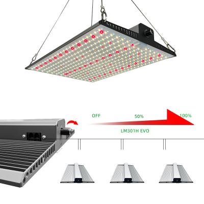 Cina 2x2ft 3x3ft Flower Grow Light Full Spectrum Veg And Bloom LED Grow Light in vendita