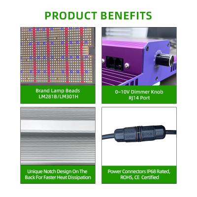 Cina 300 Watt Quantico Grow Board Full Spectrum LED Panel Grow Light in vendita