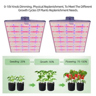 Cina Full Spectrum LED Quantum Board Grow Light 100W 200W 300W Grow Tent Grow Light in vendita