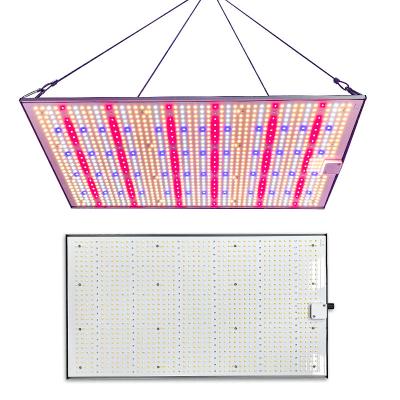 Cina Pannello luminoso per coltivazione a LED Quantum Board IP65 dimmerabile a spettro completo con collegamento a catena in vendita