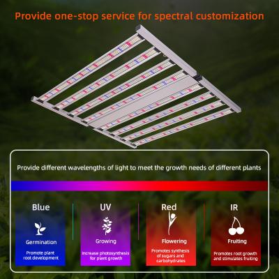 Cina ANDY 4x4ft 800W Full Spectrum LED Grow Light Fabbricazione idroponica di piante vegetali in vendita