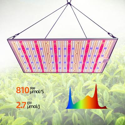 Cina Full Spectrum Quantum Board Grow Light 100W 200W 300W Per la semina di tende di crescita in vendita