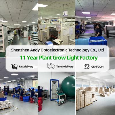 Cina Commerciale LED Plant Grow Light 1500W LM281B 15 Bar Samsung LM301h EVO Grow Light in vendita