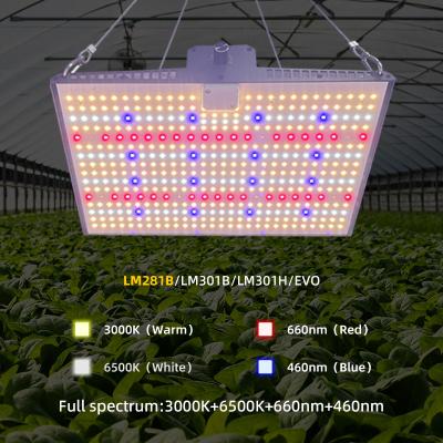 Cina Lampada di coltivazione a LED dimmerabile Quantum Board 100W 200W 300W per coltivazione domestica in vendita