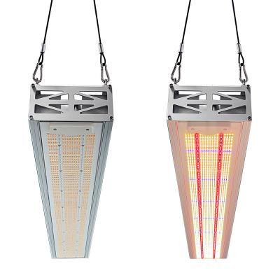 China High PPFD LED Grow Light Full Specrum 640W Linear LED Grow Light for sale