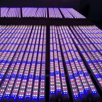 China White LED Grow Light 6500K 5000k 460nm 660nm 3FT 4FT T8 LED Tube Lights For Growing Plants for sale
