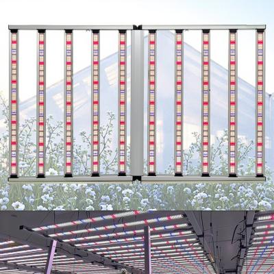 China Led Grow Lights Full Spectrum Led Bar Light 4x4ft Wholesale Commercial Greenhouse Plant LM301H LM281B for sale