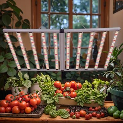 中国 フルスペクトル 1000W LED 育成ライト SAMSUNG LM281B 温室屋内植物 チリ 野菜 ブルーム 植物育成ライト 販売のため
