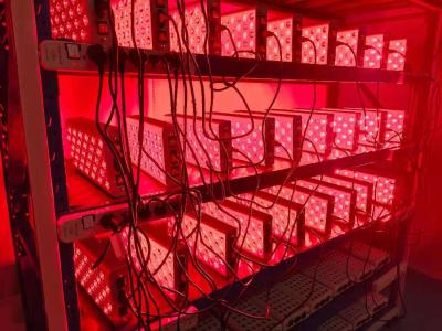 Cina Pannello per terapia a luce rossa a LED 850nm 660nm 300W per corpo e viso in vendita