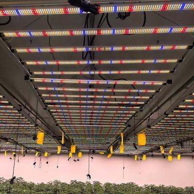 中国 ANDY 800WバースタイルのLEDグロウライトフルスペクトル ベスト折りたたみカスタマイズされたIP66 4X4FT サムスンチップ LM301H EVO LM281B 販売のため