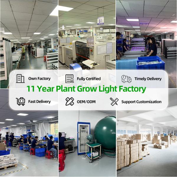 Quality Lm281B 1600W Full Spectrum UV IR Led Grow Light for sale