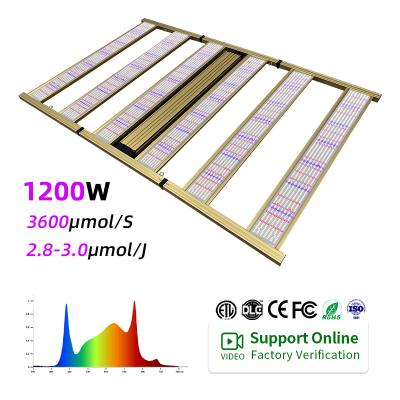 Cina 1200 Watt LED Grow Light Full Spectrum Medico Dimmabile Plant Grow Light Samsung LM301H LM281B in vendita