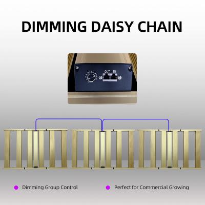 Cina 1200 Watt LED Grow Light Full Spectrum Medico Dimmabile Plant Grow Light Samsung LM301H LM281B in vendita