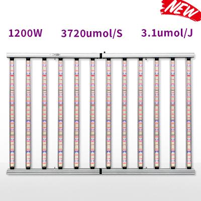 China 1200W 4x6ft LED Grow Light com chips Samsung LM301h 3.1μmol/J à venda