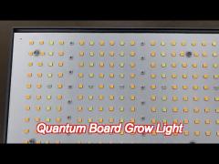 daisy chain led board grow lights , qb led grow lights 300w 200w 100w