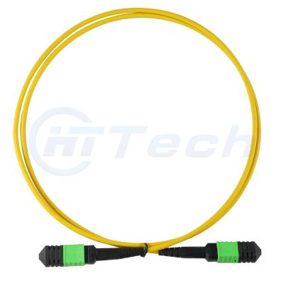 China Singlemode MPO-MPO Patch Cable Low Insert Loss LSZH Jacket for sale