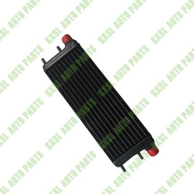 Cina Per Bentley Continental Gt & Flying Spur 2006-2012 Trasmissione raffreddatore di olio OEM 3W0317019A in vendita