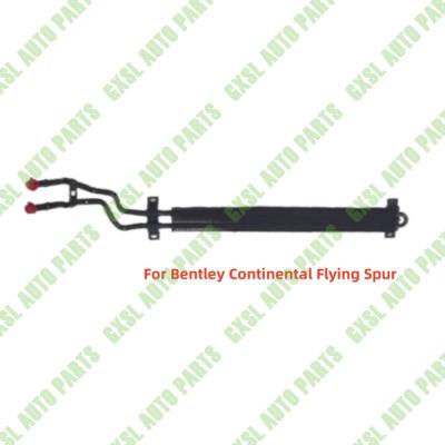 Cina Per Bentley Continental Flying Spur Radiatore del volante OEM 3W0422885G in vendita