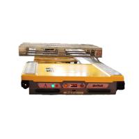 Quality EBILTECH Automation 2 Way Pallet Shuttle Robot Shuttle for the Shelf for sale