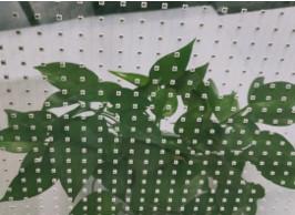 Quality P25-50 Transparent LED Panel Synchronous Box Control Screen Mode 400W/M2 for sale