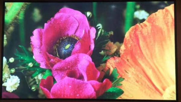 Quality Heat Dissipation P2.9 Indoor Fixed LED Display for Extended Product Life and Stable Performance for sale